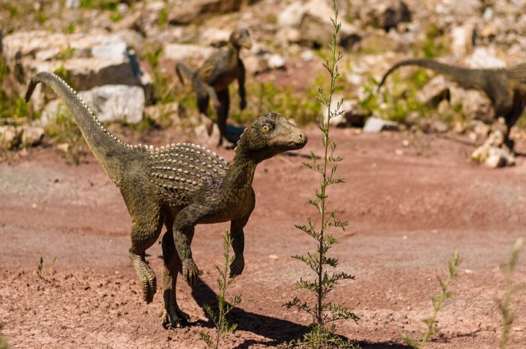 Pflanzenfresser Dinosaurier | Tiere Online